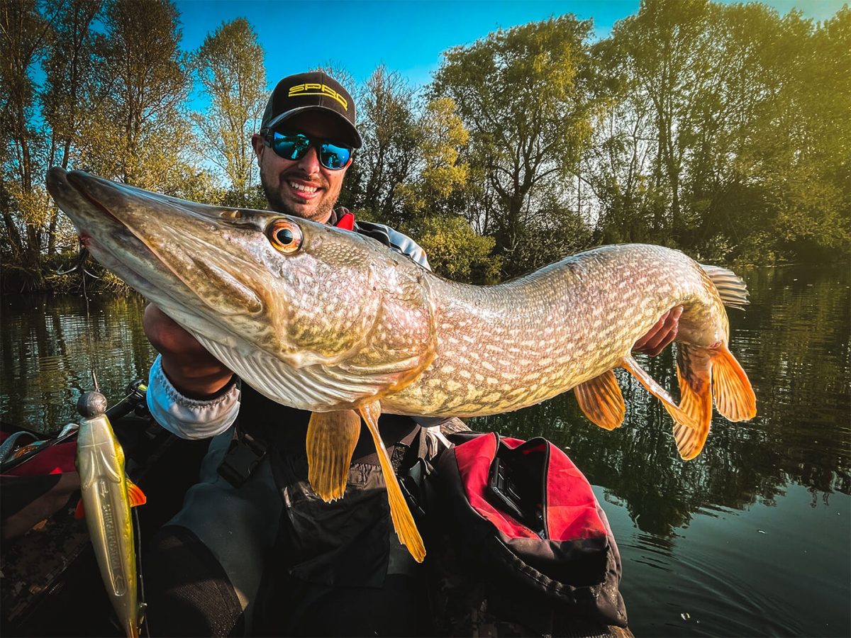 Iris Shocktail - Products - SPRO Germany