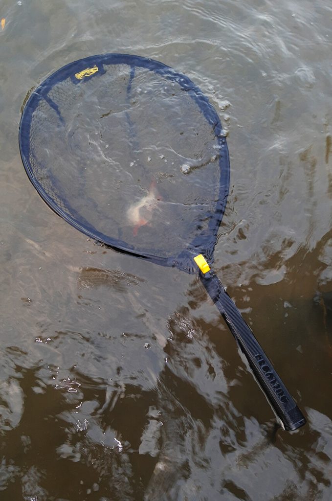 Folding Float Net - Produkte - SPRO Deutschland