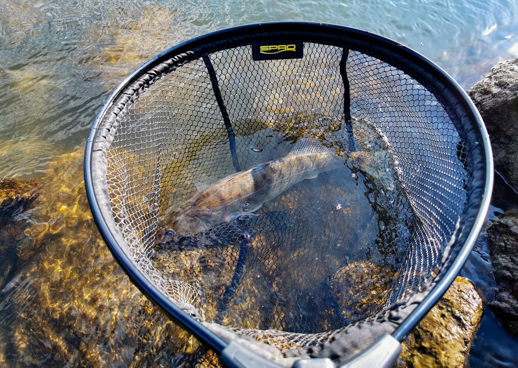 Folding Float Net - Produkte - SPRO Deutschland