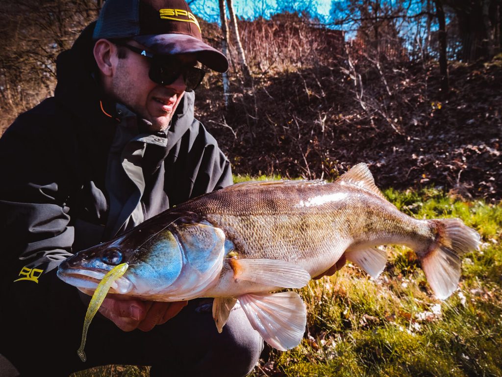 Scent Series Insta Shad - Produkte - SPRO Deutschland