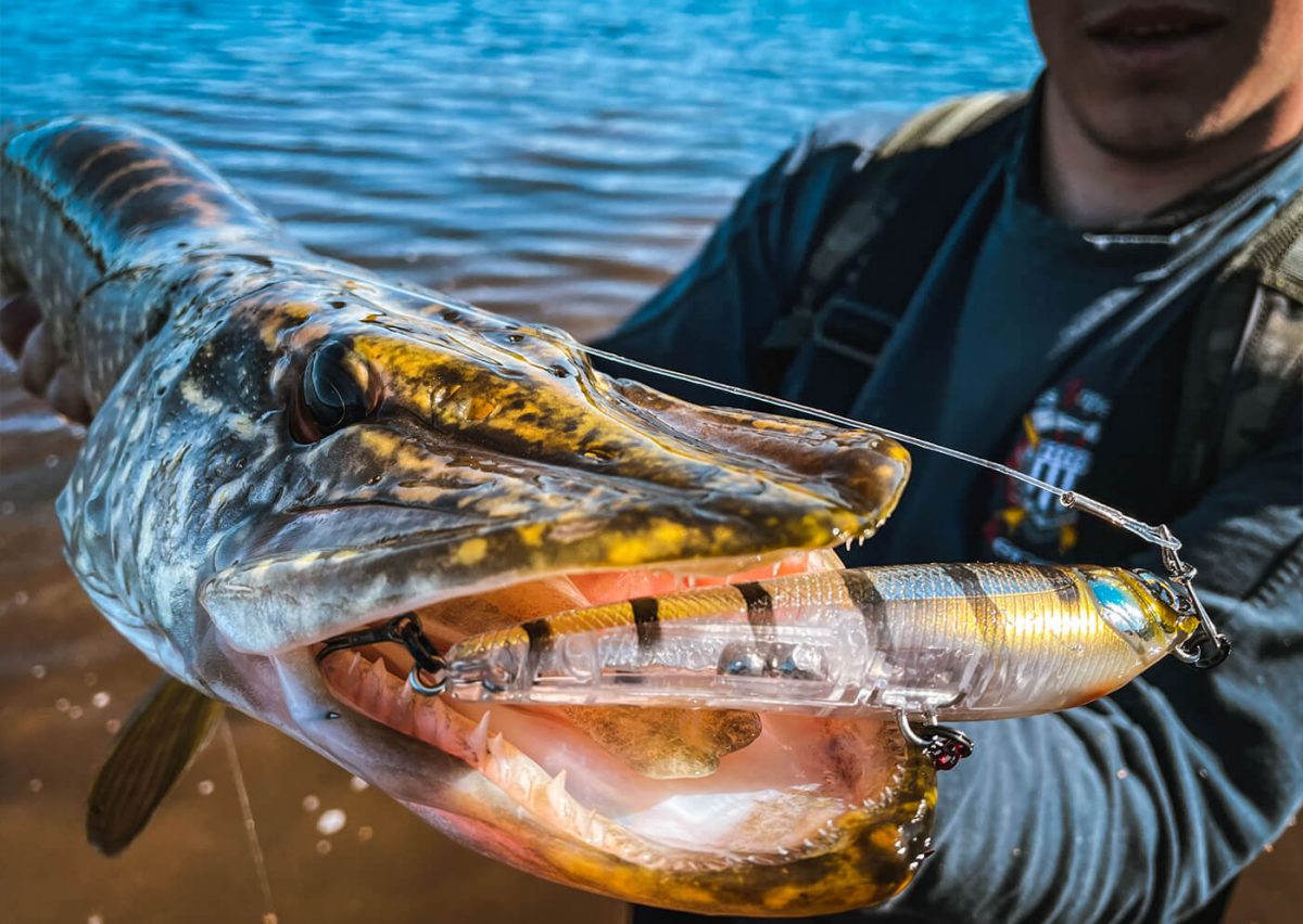 Ikiru Surf Dawq 115F - Products - SPRO United Kingdom