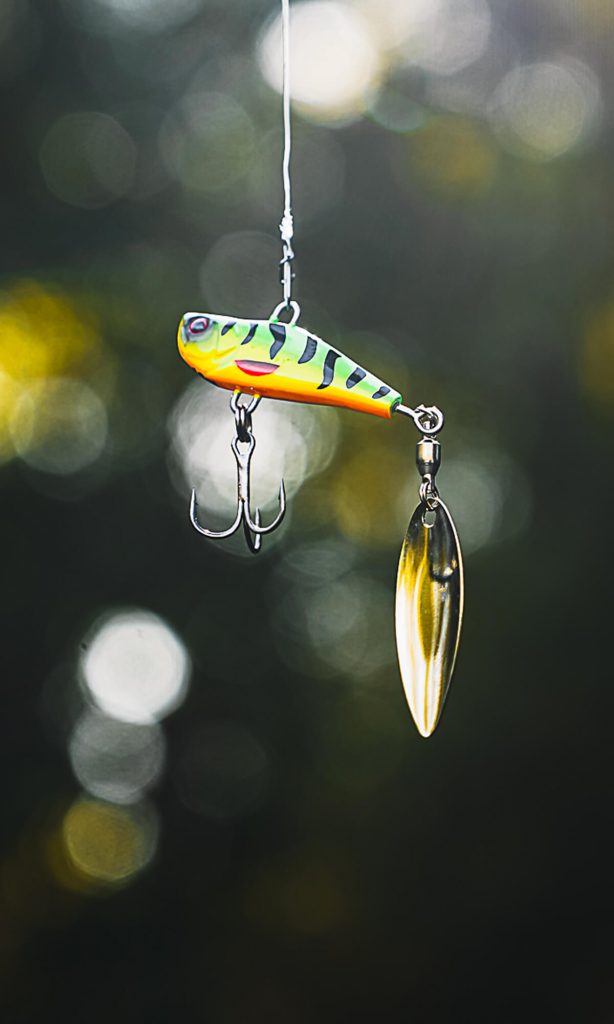 ASP Speed Spinner - Produkte - SPRO Deutschland