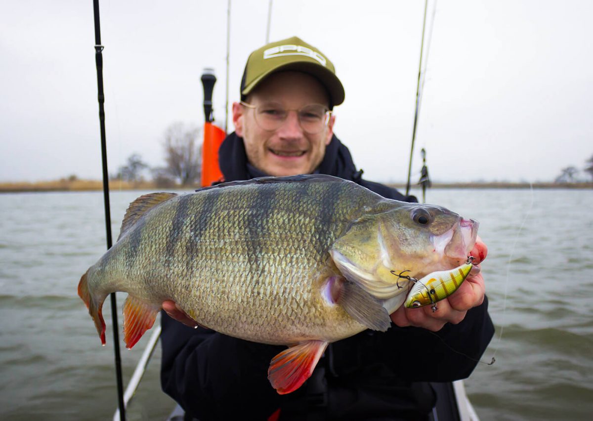 SPRO Aruku Shad - Produkte - SPRO Deutschland