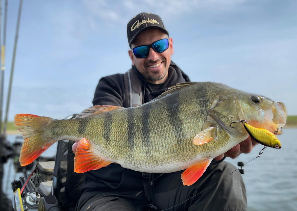 SPRO Aruku Shad - Produkte - SPRO Deutschland