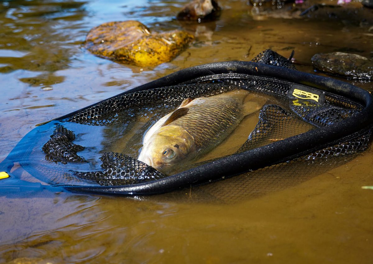 HD Folding Float Net Tele - Produkte - SPRO Deutschland