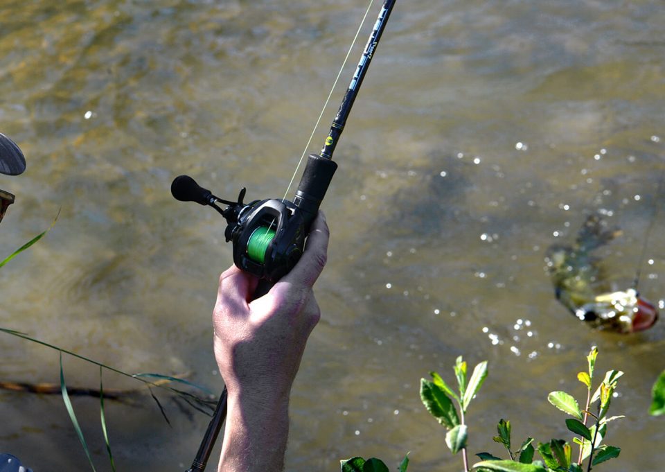 OX BC Light LH - Produkte - SPRO Deutschland