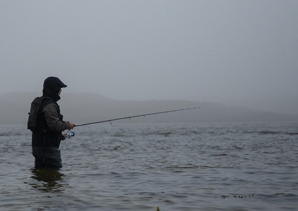 Zalt Arc - Products - SPRO Germany