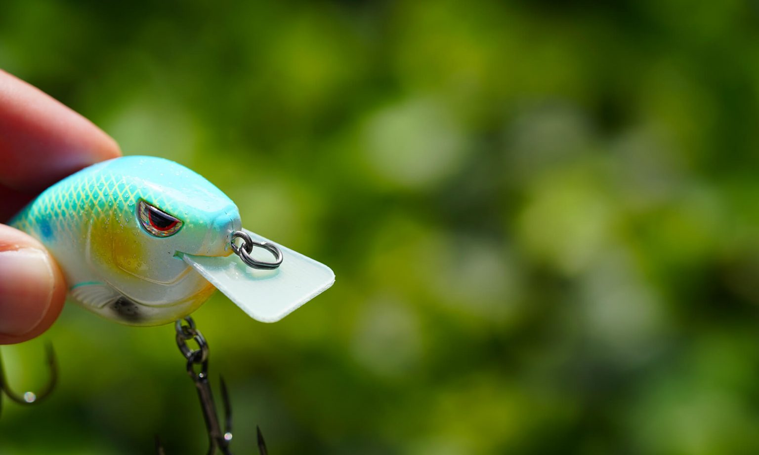 Fat Papa SB 55 - Produkte - SPRO Deutschland