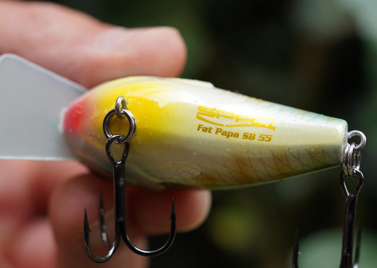 Fat Papa SB 55 - Produkte - SPRO Deutschland