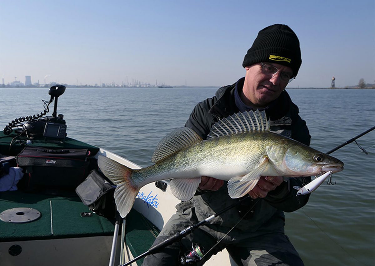 McStick - Produkte - SPRO Deutschland