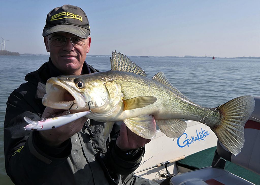 McStick - Products - SPRO Germany