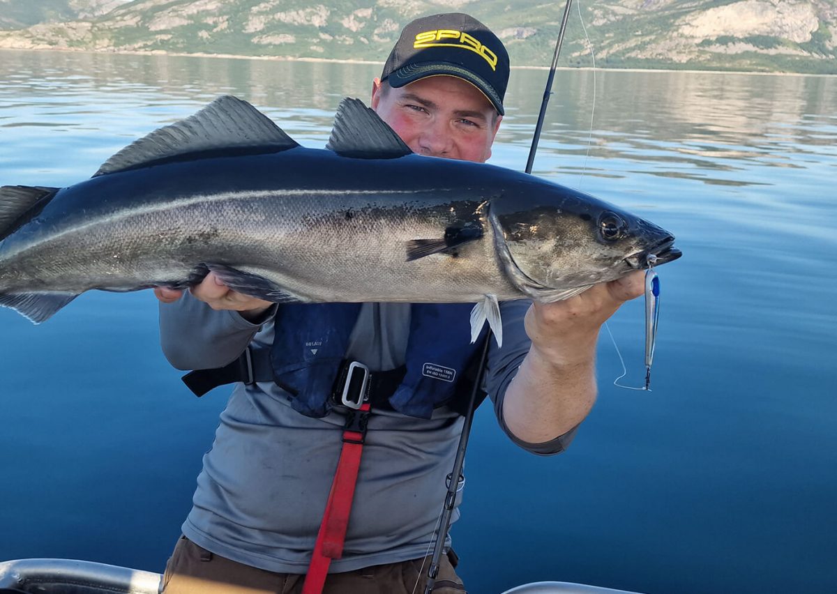 Pilk O - Produkte - SPRO Deutschland