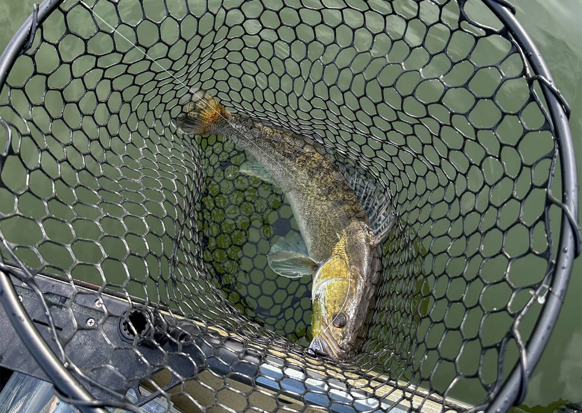 Floating Flick Net Solid 60 - Produkte - SPRO Deutschland