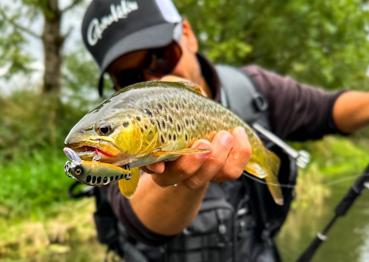 Ikiru Flat Jerk FS - Produkte - SPRO Deutschland