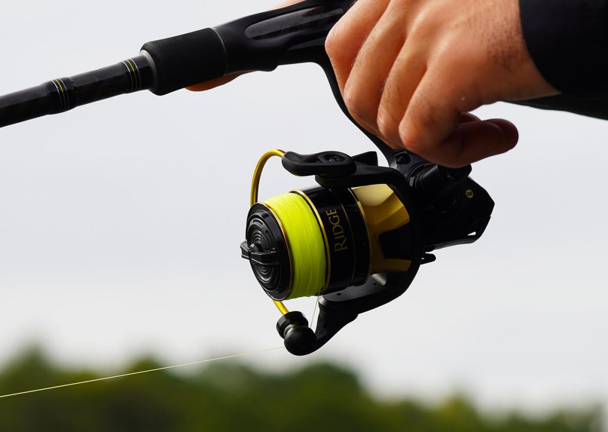 Ridge Rollen - Produkte - SPRO Deutschland