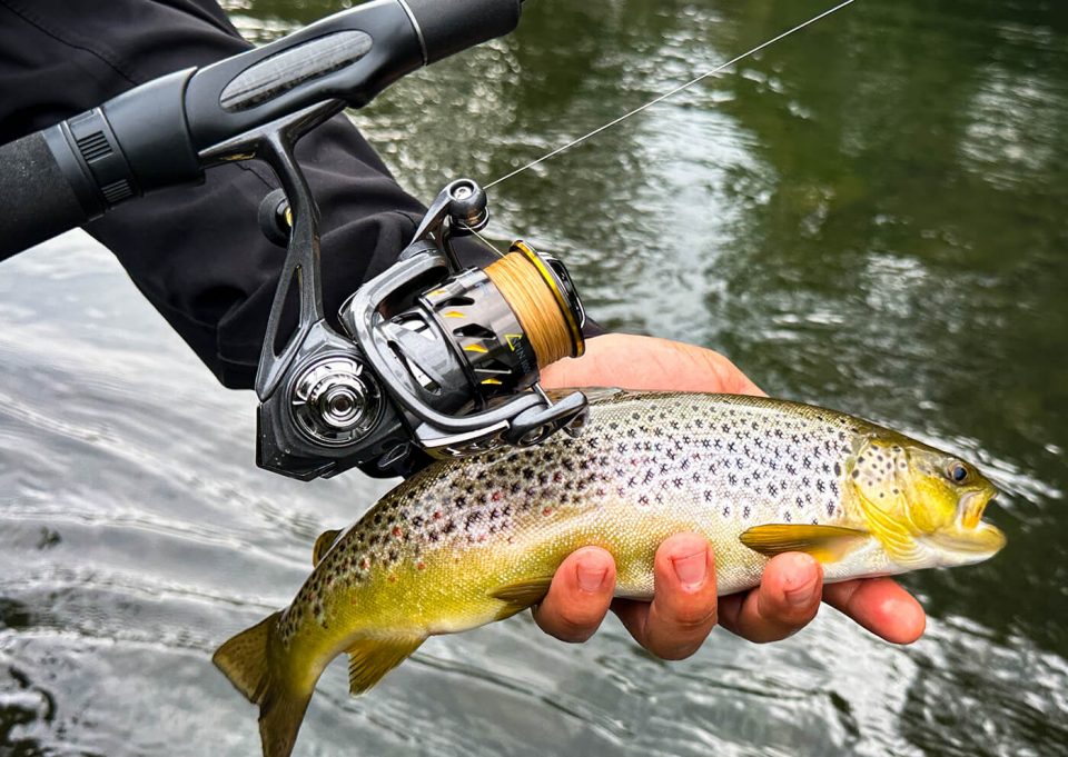 Specter Spin reels - Products - SPRO United Kingdom
