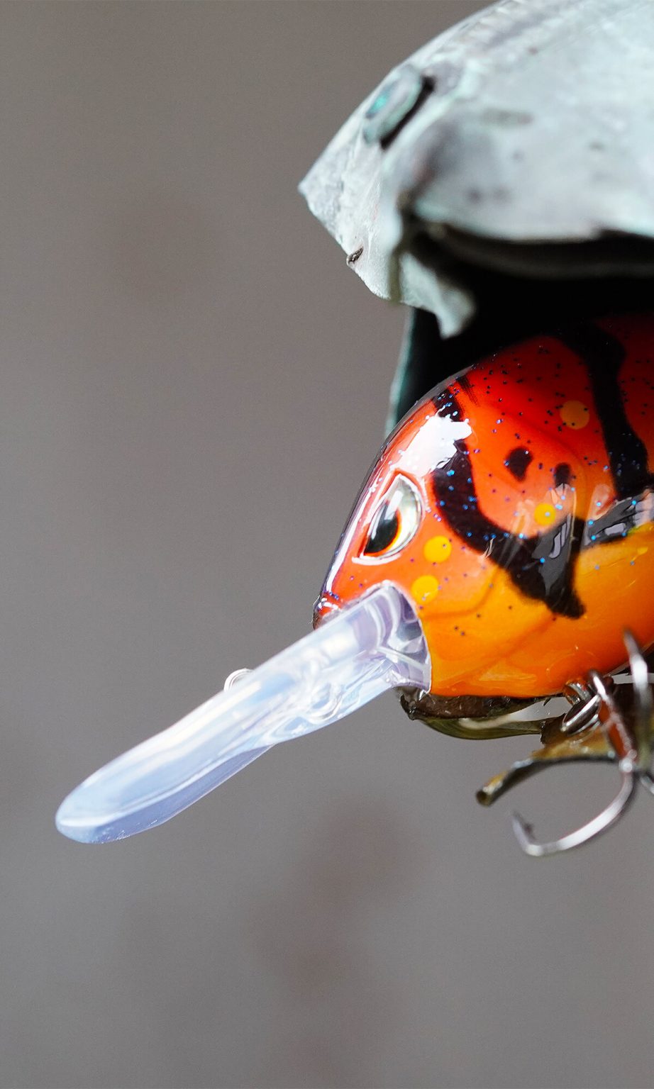 Fat Papa 55 - Produkte - SPRO Deutschland