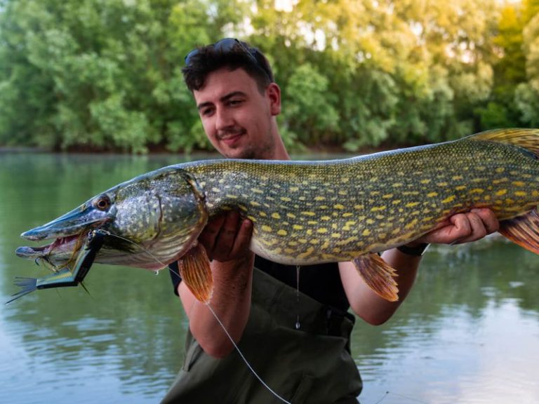 SPRO KGB Chad Shad - Blog - SPRO Germany