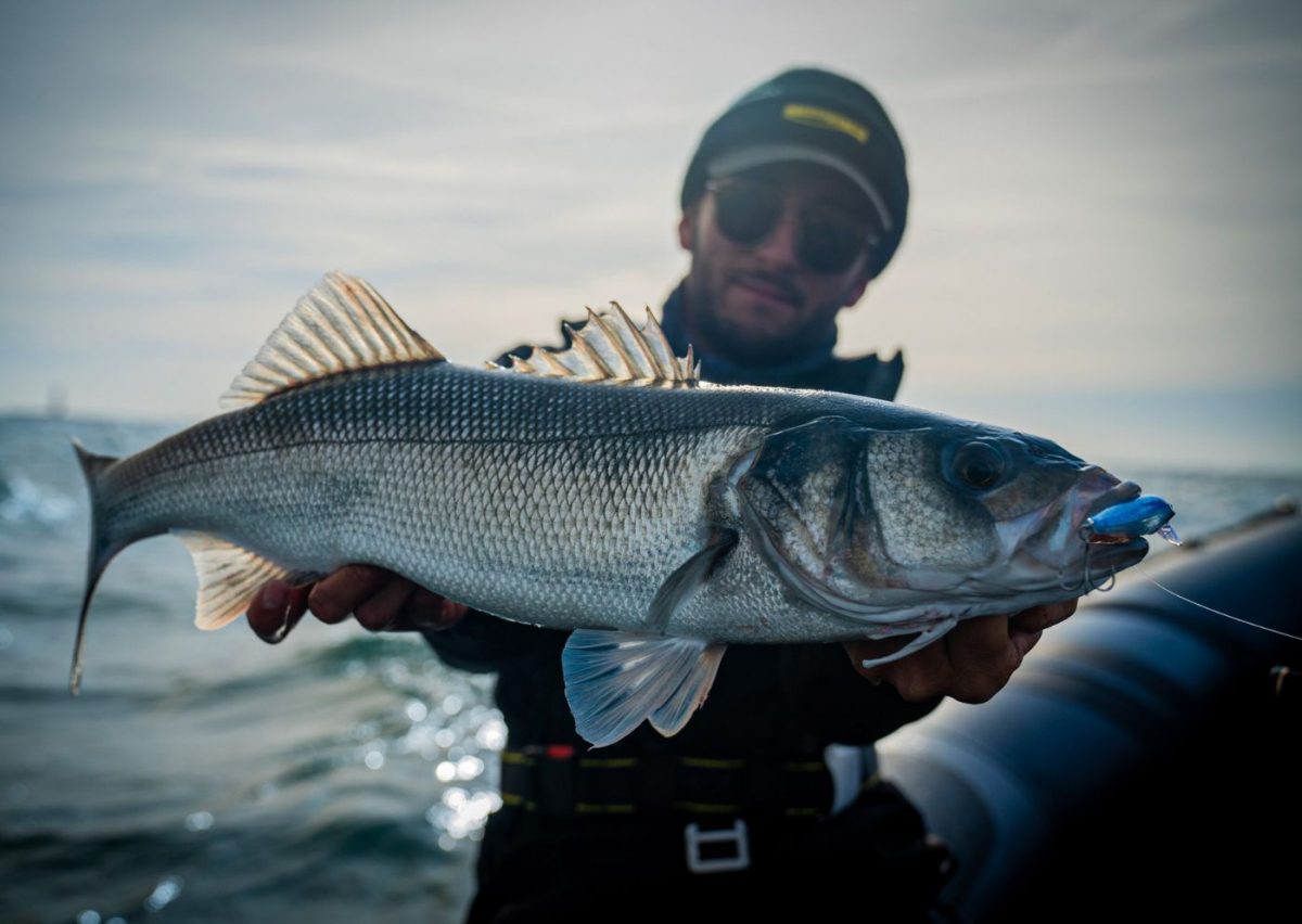 Gutsbait Salt! Minnow 110 - Produkte - SPRO Deutschland