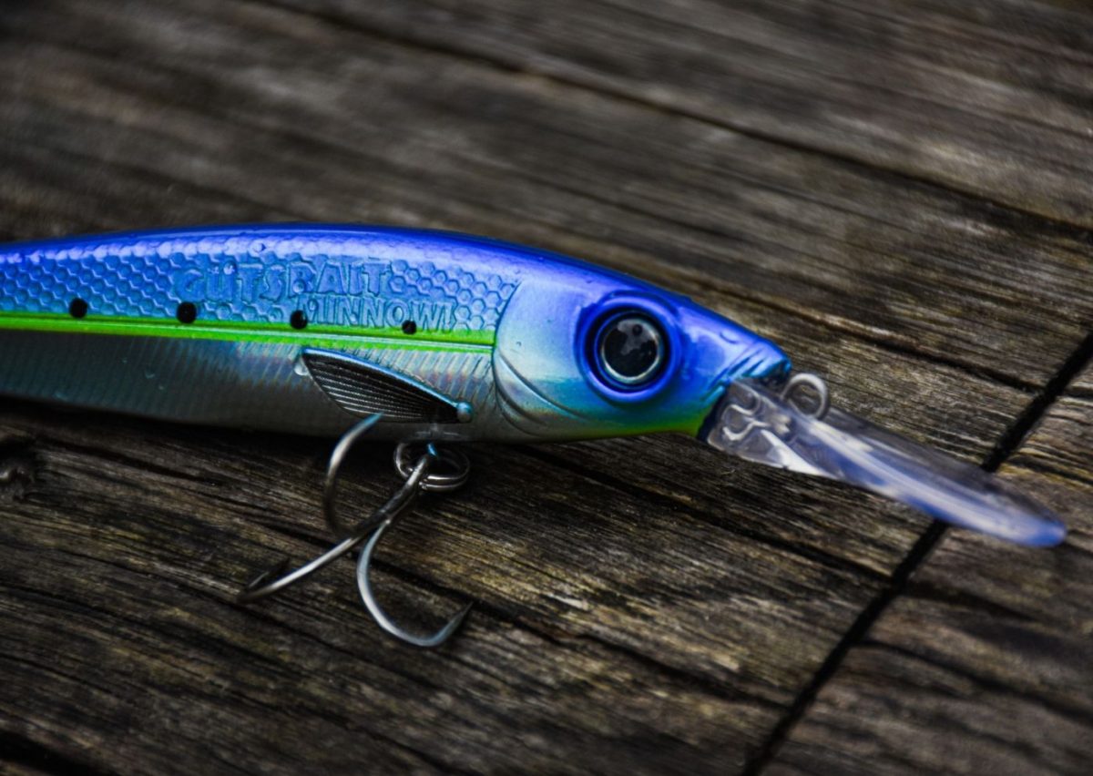 Gutsbait Salt! Minnow 110 - Produkte - SPRO Deutschland